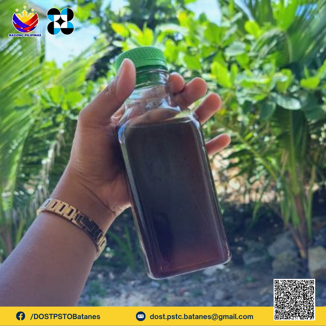 DOST 2 PSTO Batanes Expands Tubho Tea Offerings with RTD Training - CAVITE TIMES JOURNAL